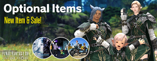 FINAL FANTASY XIV, The Lodestone