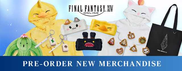 FINAL FANTASY XIV, The Lodestone