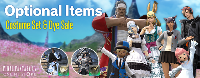 FINAL FANTASY XIV, The Lodestone