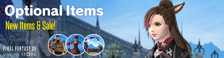 FINAL FANTASY XIV, The Lodestone