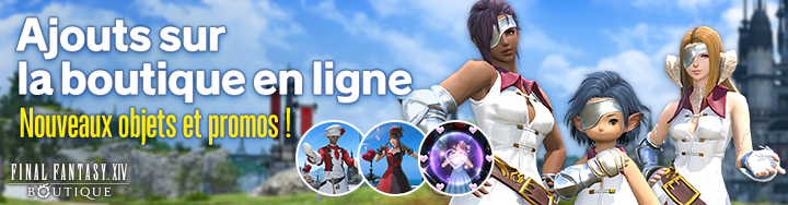 Nouveaux objets optionnels et promotions à durée limitée ! | FINAL ...