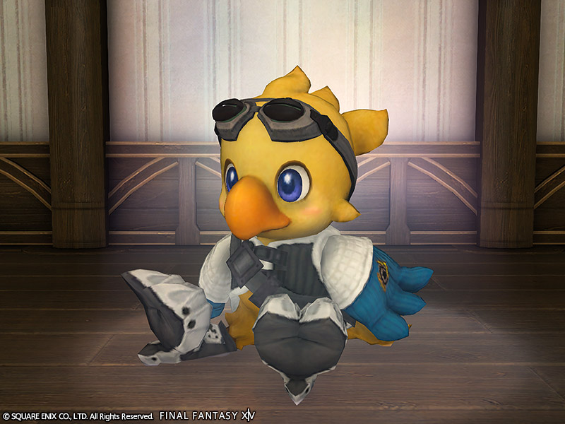 New Optional Items Available! | FINAL FANTASY XIV, The Lodestone